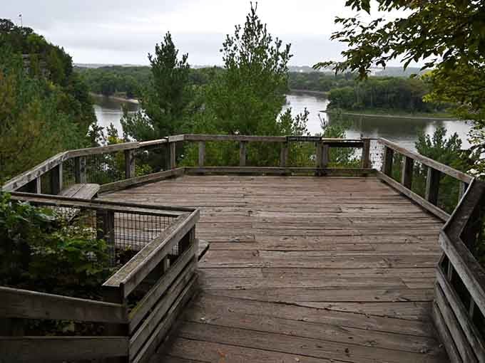 That wooden platform jutting over the Illinois River is your front-row seat to nature's greatest show.