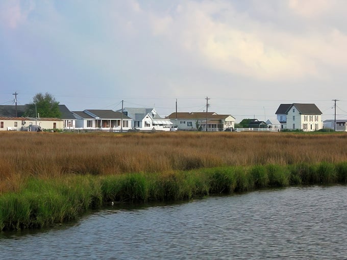 Houses dot the horizon where marshland meets water, a landscape so flat you can practically see tomorrow coming.