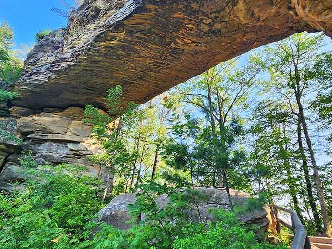 That's your destination right there, framed by forest like nature's own picture window waiting for your arrival.