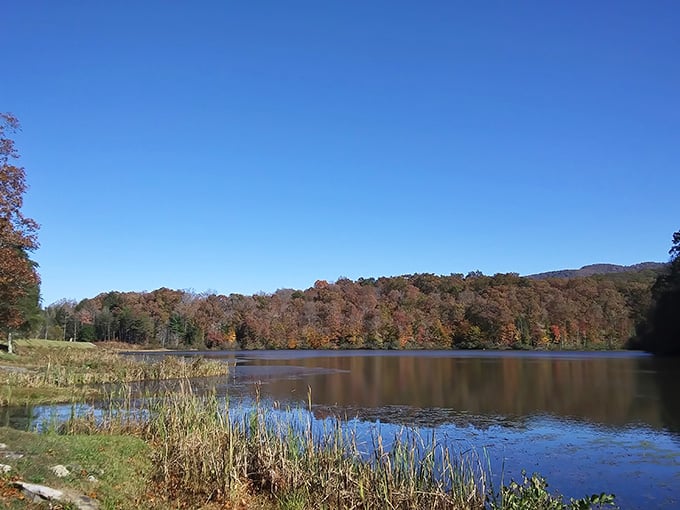 Autumn transforms the lake into a painter's palette, proving Kentucky doesn't need New England's help.