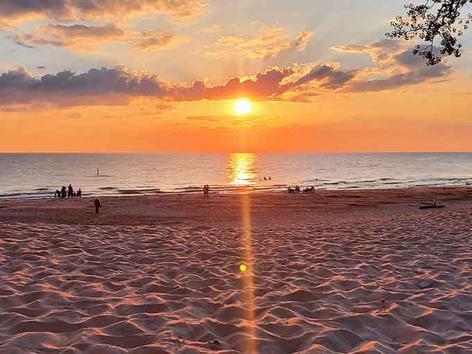 Golden hour magic happens every evening at North Beach Park, where families gather to watch spectacular sunsets paint the sky and water.