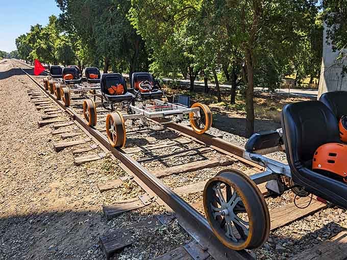 A fleet of rail bikes ready for adventure, lined up like eager students on the first day of school.