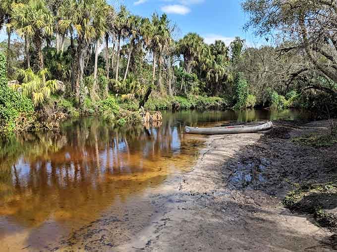 That tea-colored water isn't dirty, it's nature's own sweet tea courtesy of tannins from surrounding vegetation.