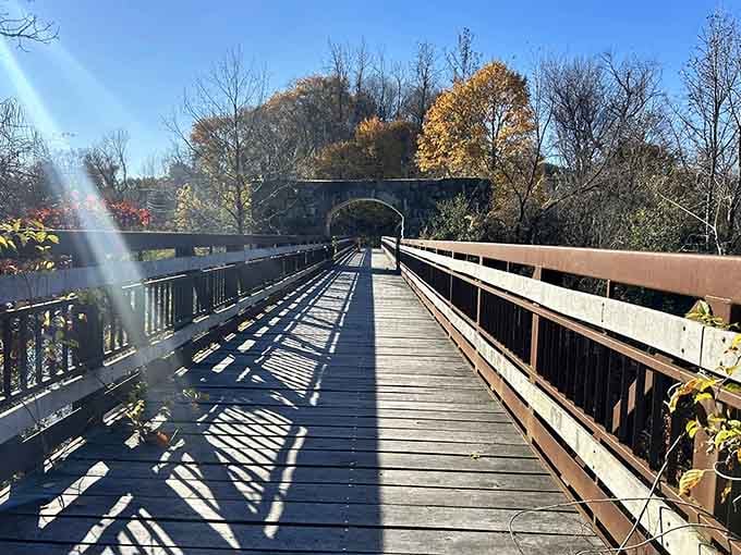 Morning light dancing across the bridge creates shadows that look like nature's own abstract art installation.