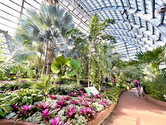 The curved pathways and towering palms invite you to wander slowly, discovering new green wonders around every single bend.