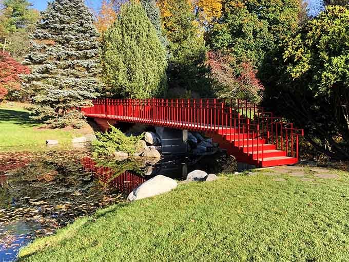 When your reflection is this perfect, even the koi fish stop to admire the architectural genius happening above their pond.
