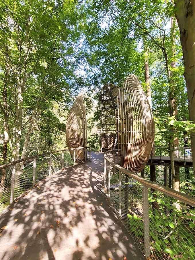 This sculptural walkway looks like nature decided to collaborate with a modern artist and actually agreed on something.