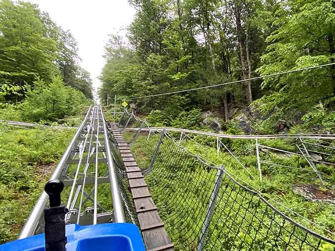 The view from your seat includes trees, sky, and that delicious moment right before gravity takes over completely.
