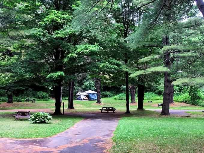 Shaded campsites nestled among towering trees, where your biggest decision is which picnic table gets the morning sun.