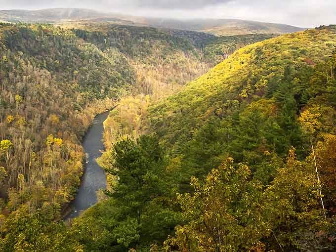 When they call it Pennsylvania's Grand Canyon, they're not just being cute with the marketing brochures.
