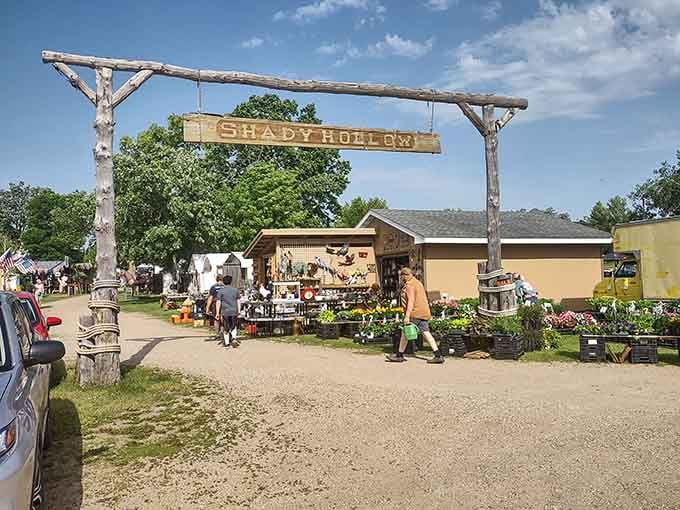 That rustic wooden entrance sign isn't just charming, it's your gateway to discovering things you didn't know you desperately needed.