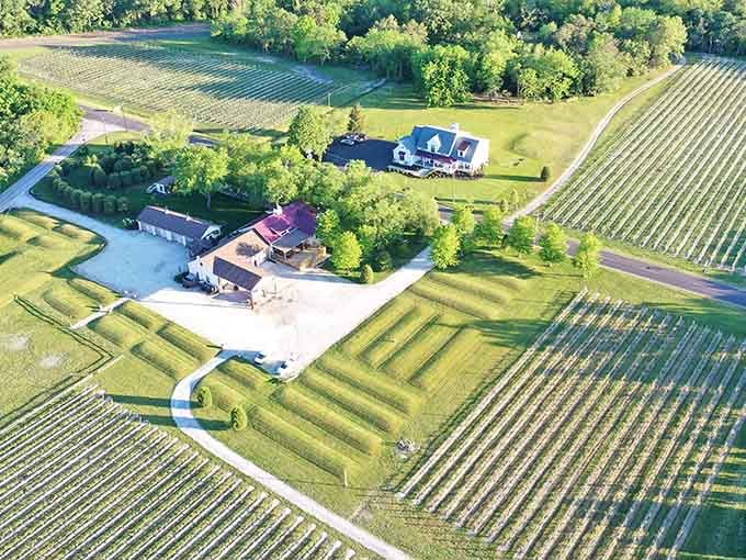 That moment when you realize wine country doesn't require a plane ticket, just a tank of gas.