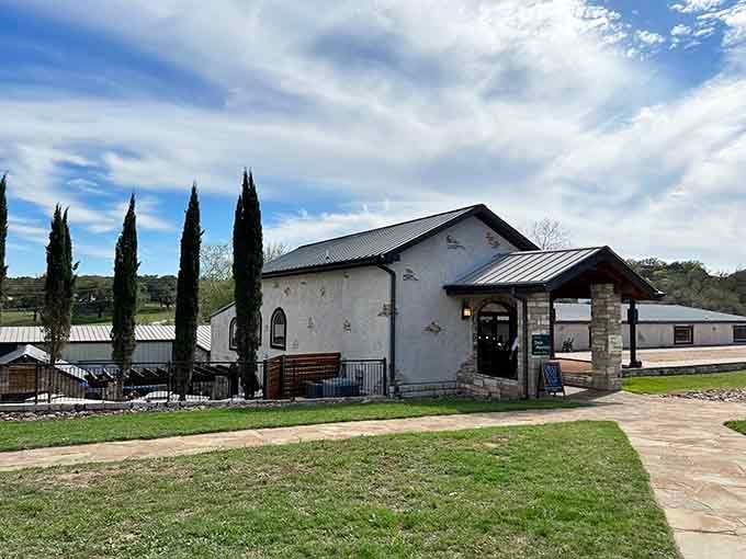 Rolling vineyards meet endless Texas sky in a view that'll make you forget all about Napa Valley.