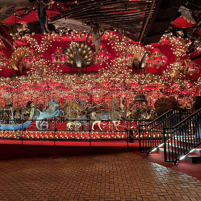When peacocks meet carnival lights meet your wildest dreams, you get this absolutely mesmerizing carousel spectacle.