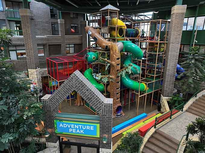 Adventure Peak rises like a tropical skyscraper where slides replace elevators and joy is the only currency accepted.