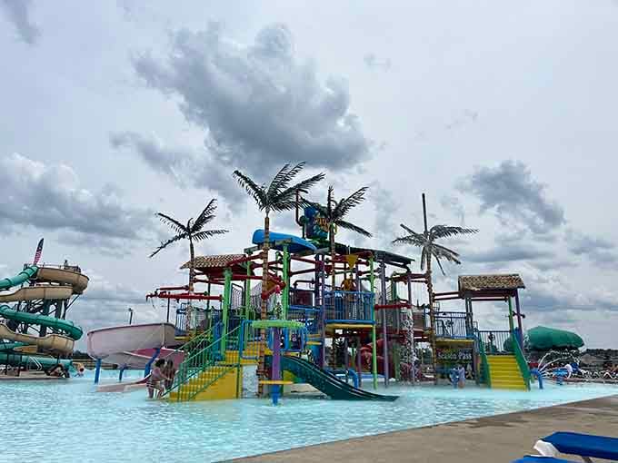 Where water slides meet wildlife encounters, creating Ohio's most wonderfully unexpected summer destination.