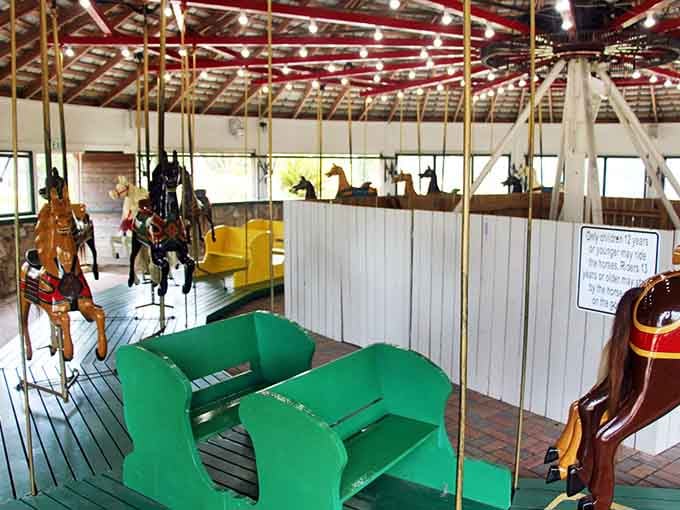 Green benches offer respite for those preferring a gentler ride, proving carousels understand we all move at different speeds.