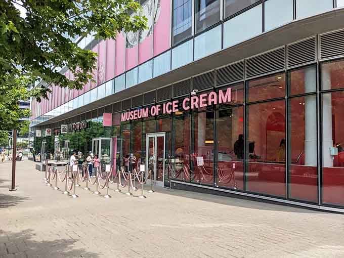 That glass exterior isn't just a building, it's a promise of joy waiting inside.