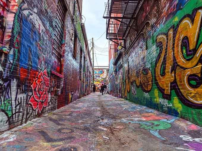 Every surface becomes a canvas when a city decides to embrace its creative soul with open arms.
