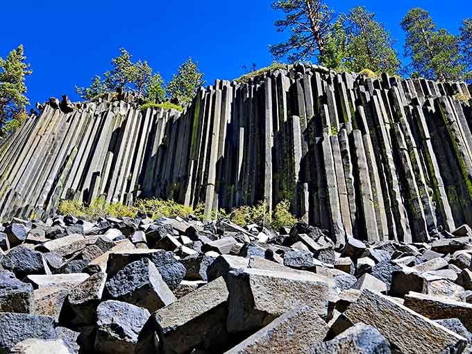 These towering basalt columns stand like nature's own cathedral, proof that lava has better design sense than most architects.
