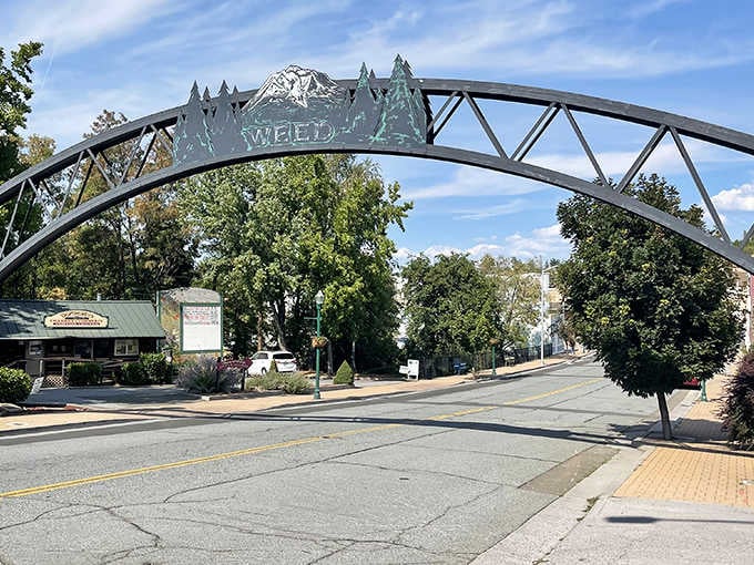 Mount Shasta towers over Main Street like nature's own skyscraper, reminding you why rent's still reasonable here.