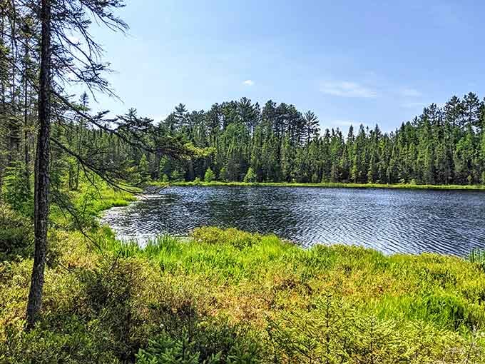 This pristine lake view is what Minnesotans mean when they say "up north" with that knowing smile.