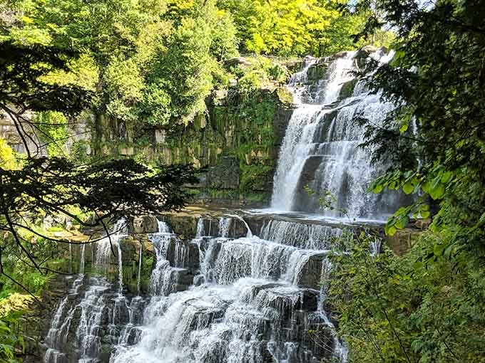 Nature's staircase in full autumn glory, where water cascades over ancient limestone like liquid gold through a painter's palette.