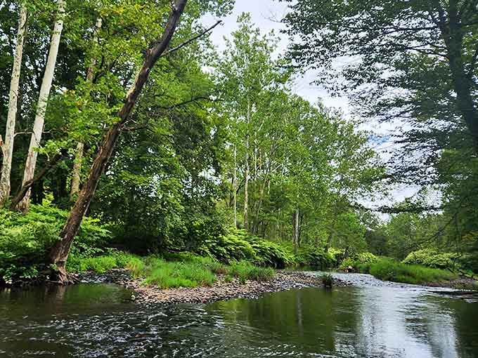 That gorgeous stone arch bridge reflecting in the creek? That's your destination, and it's absolutely worth the drive.