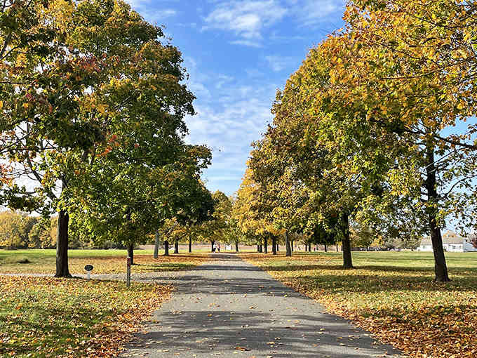 That tree-lined horizon isn't just a driveway—it's your portal to a world where millionaires once played polo.