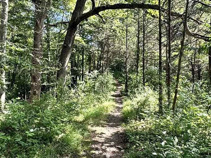 This sun-dappled path whispers promises of peace that your stressed-out soul desperately needs.