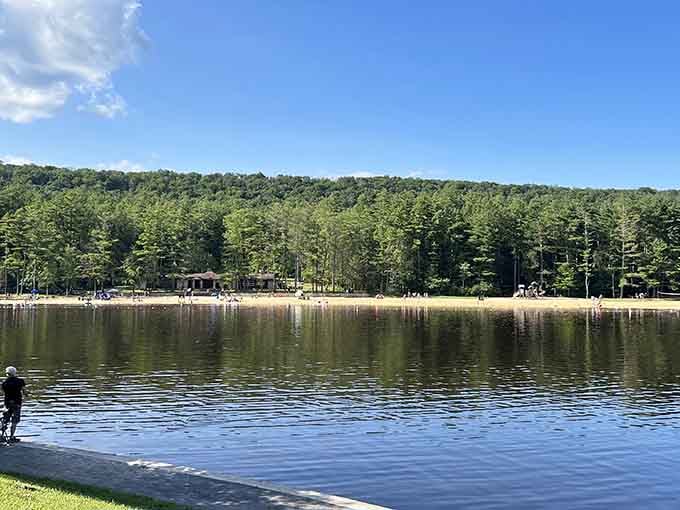 That mirror-perfect reflection on Halfway Lake proves nature doesn't need filters to look absolutely stunning.