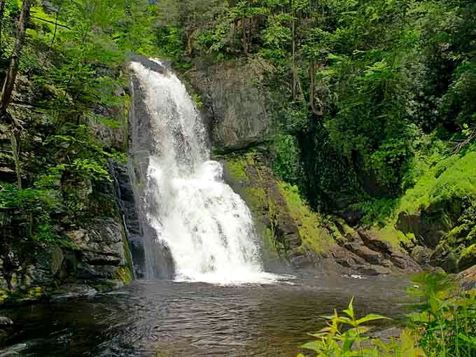 Mother Nature showing off with a hundred-foot drop that'll make your jaw hit the forest floor.
