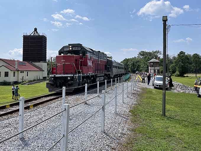 Real working trains on real historic tracks, because authenticity matters when you're chasing nostalgia and adventure.