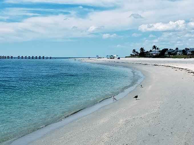 Even the local seabirds know this is the perfect spot to relax on soft sand beside calm, beautiful waters.