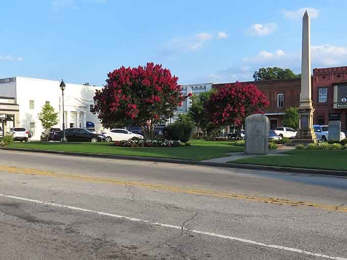 The town square where stress goes to retire and your calendar suddenly seems less important than it did this morning.