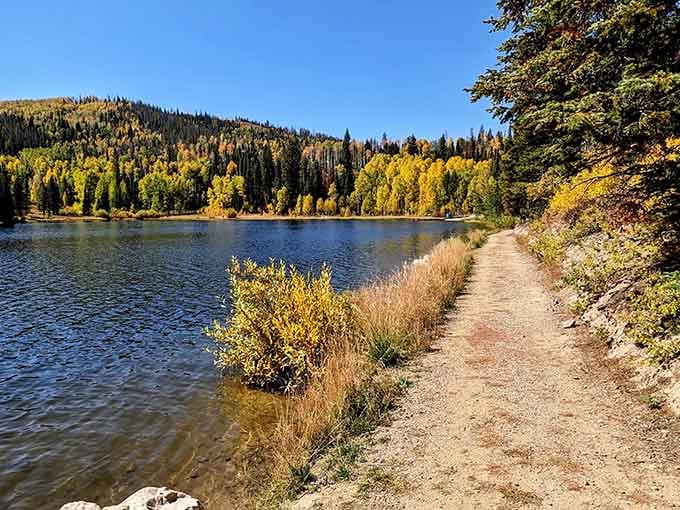 The shoreline trail where your biggest decision is whether to stop here or at the next stunning viewpoint.
