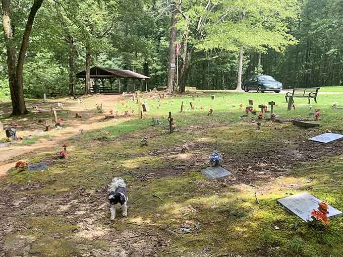 Even visiting pups pay their respects at this sacred ground, perhaps sensing the legacy of legendary hunting dogs all around them.
