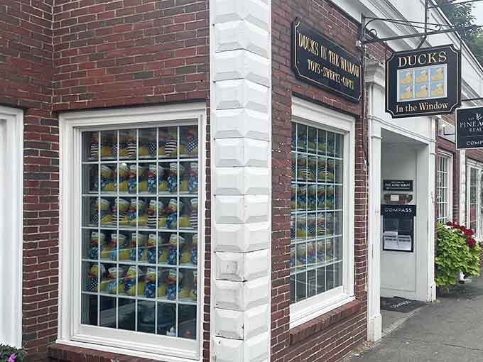 That storefront window isn't just decorated with rubber ducks, it's practically built from them in glorious formation.