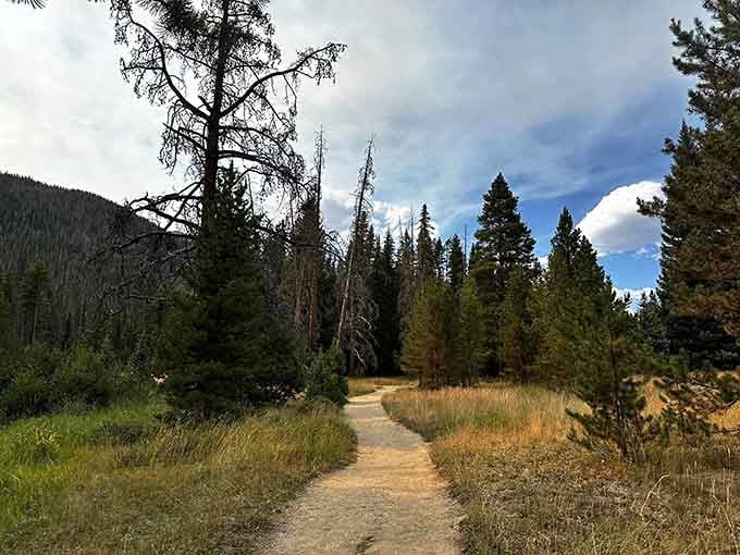 The path winds through forest and grassland like nature's own choose-your-own-adventure book, minus the dragons.