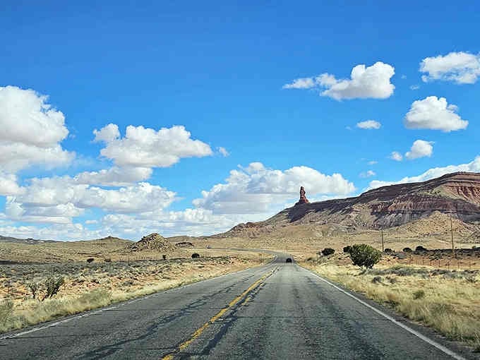That iconic straight-road-to-infinity shot that makes every road trip movie jealous of real life.