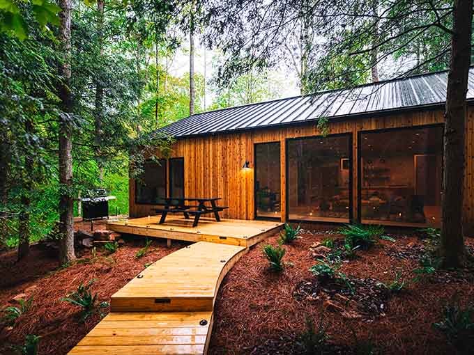 Modern architecture meets Mother Nature, and somehow they've decided to become best friends in the Ohio woods.