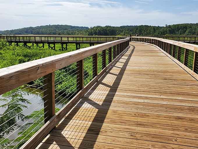 Curves in the boardwalk create anticipation with every turn, revealing new marsh vistas around each bend.