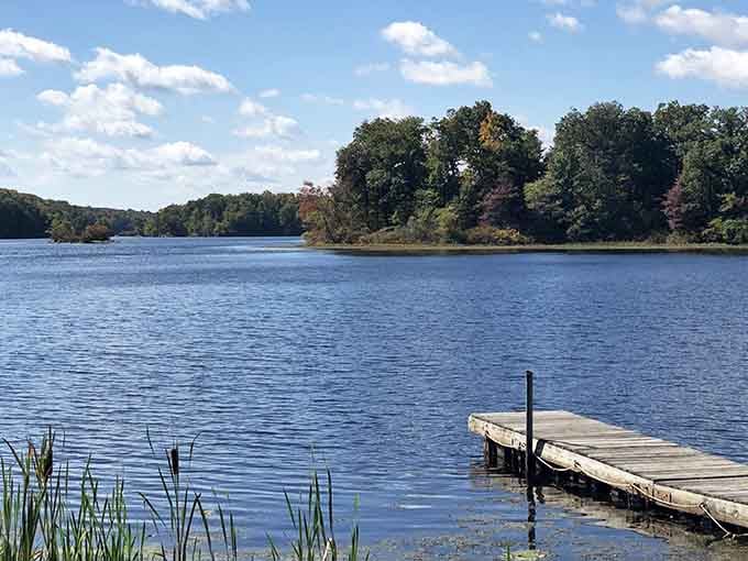 Dense forest meets glassy water—proof that New Jersey's natural beauty doesn't need a filter or fancy editing.