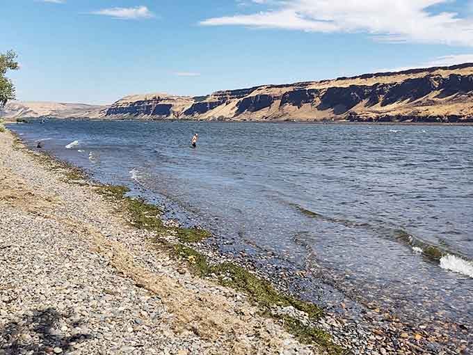 Golden hills meet blue water in a landscape that'll make you forget you're still in Washington.