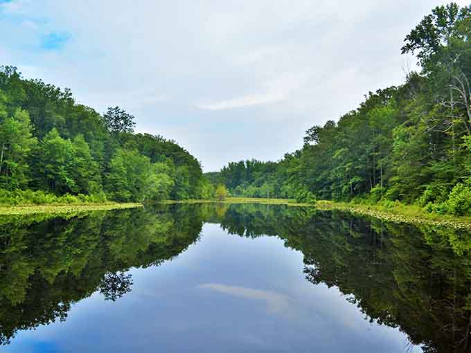 Cedarville Pond offers stunning mirror-like reflections and excellent fishing opportunities in a tranquil setting that feels worlds away from civilization.