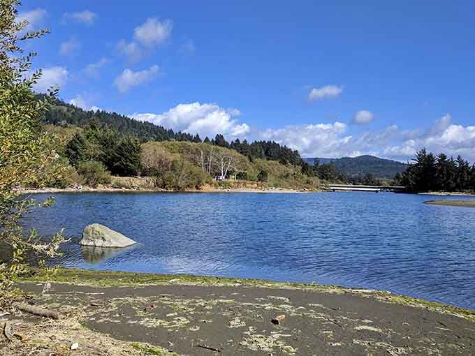 That lone rock in the water has better waterfront real estate than most of us ever will.