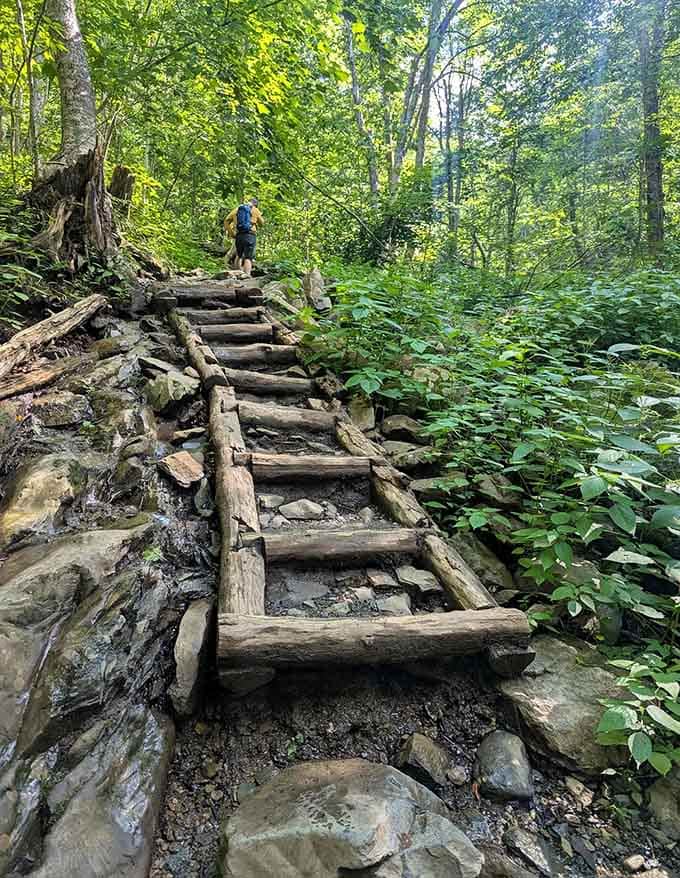 Those wooden steps aren't just trail markers, they're your stairway to waterfall paradise in the Virginia mountains.