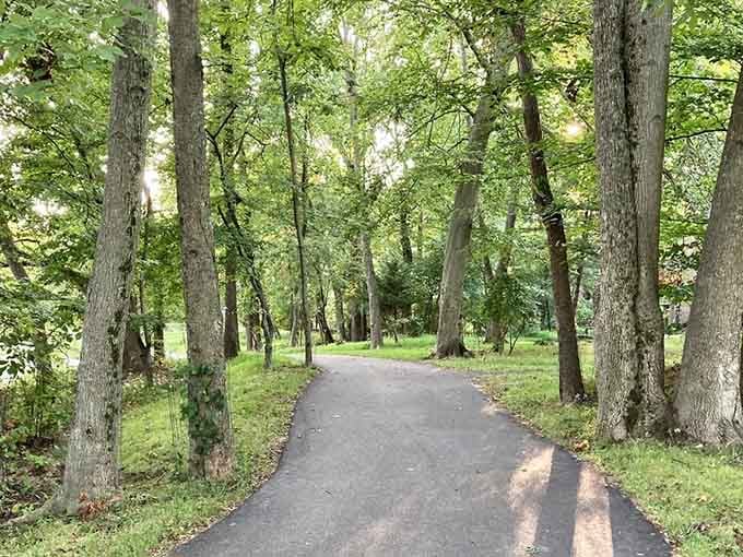 This paved path through towering trees proves that the best trails don't require mountain climbing gear.