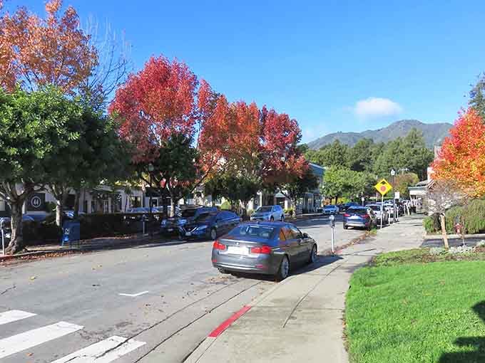 When autumn decides to paint the town, Mill Valley becomes nature's own art gallery with colors that rival Vermont.