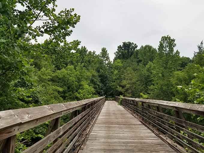 Steel and wood converge over the Broad River, creating a pathway that feels suspended between earth and sky.